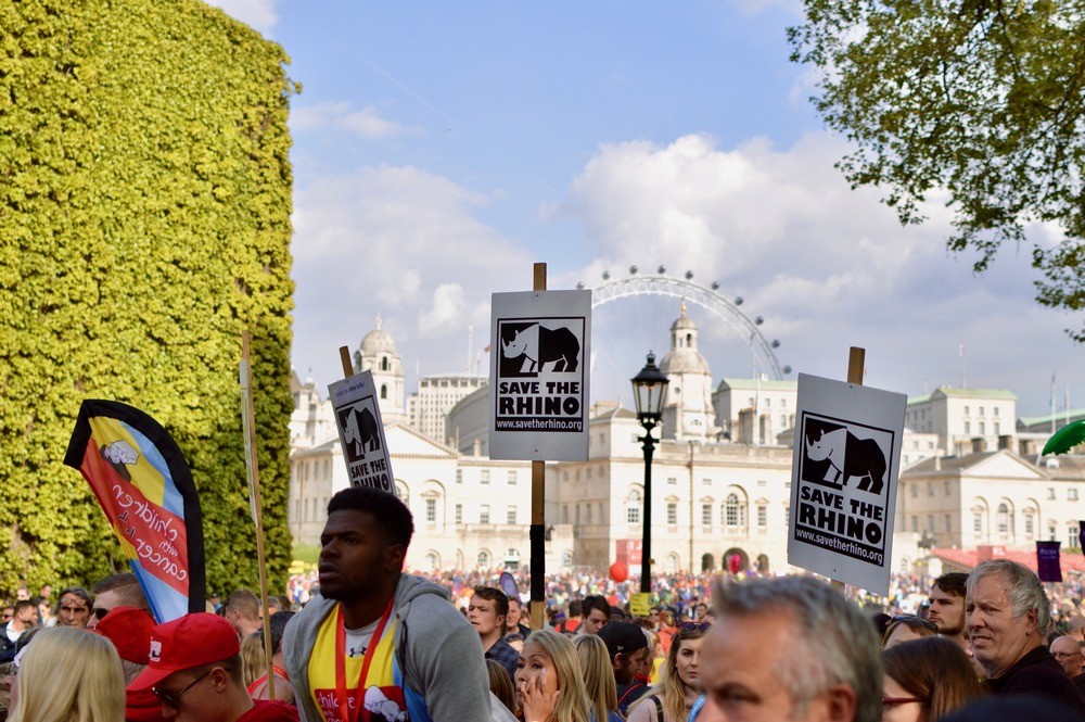 Our Story | About Us | Save the Rhino International