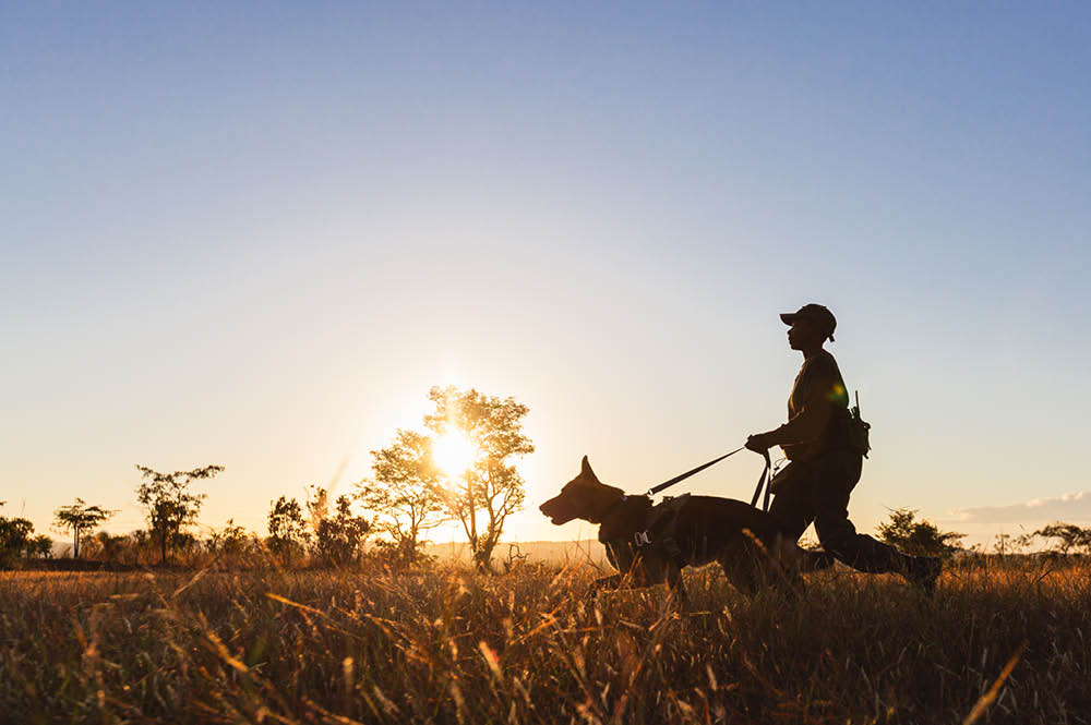 A day with the dog squad | Anti-poaching canine units | Save the Rhino