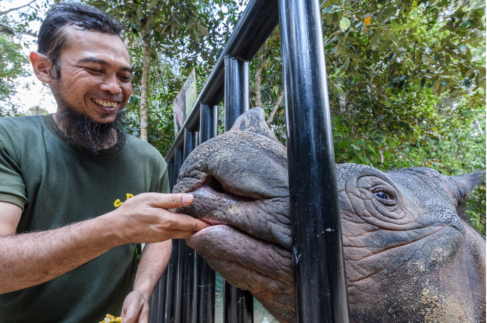 Watching a Pro At Work | Photography in Indonesia | Save the Rhino