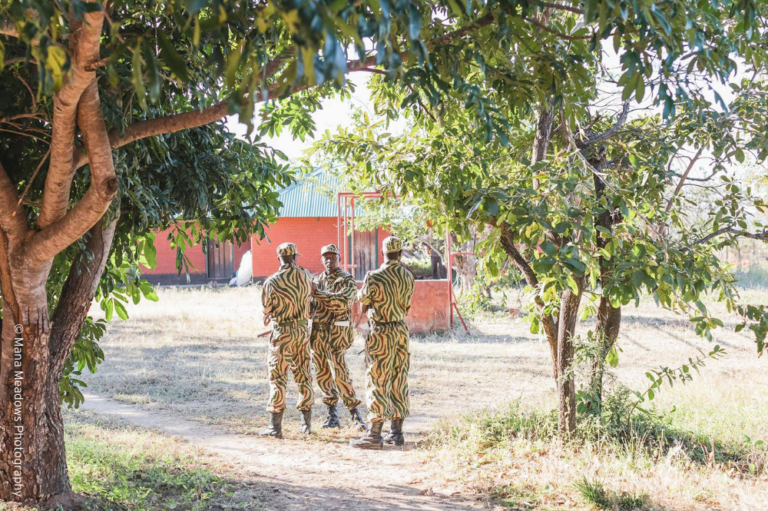 World Ranger Day 2021 | Support Rangers | News