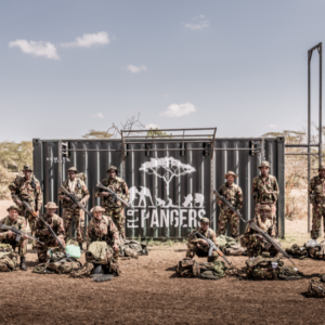 What we do | Rhino Conservation | Save the Rhino International