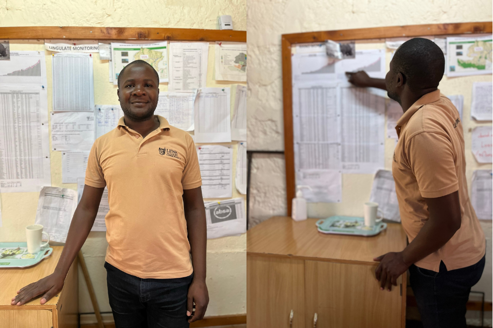 Monitoring rhinos at Lewa Conservancy | News | Save the Rhino