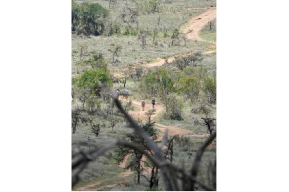 Race diary | ForRangers Ultra | Save the Rhino International