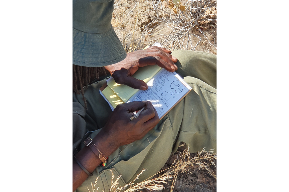 The life of a rhino ranger | News | Save the Rhino