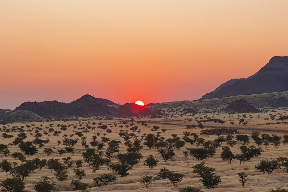 The life of a rhino ranger | News | Save the Rhino