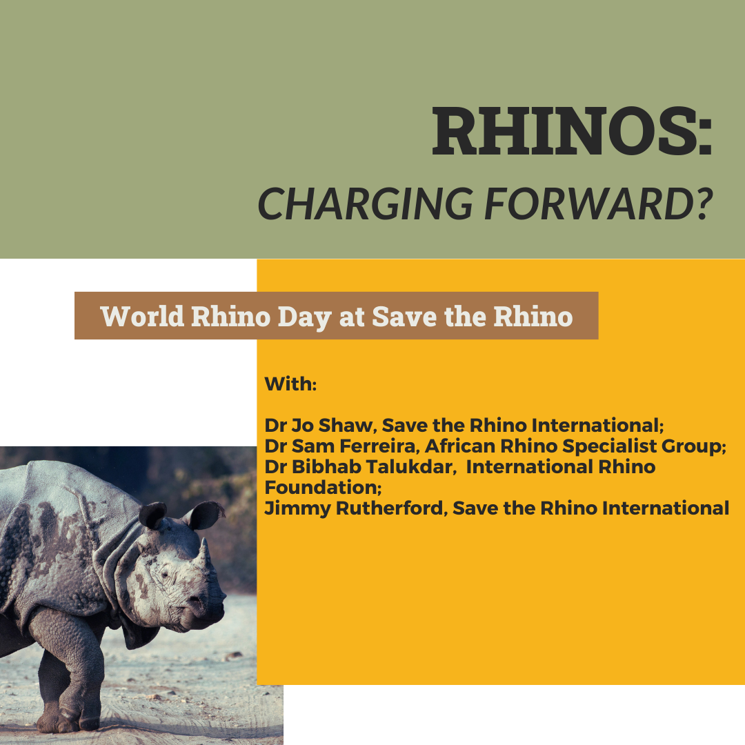 Rhinos: charging forward? | Save the Rhino