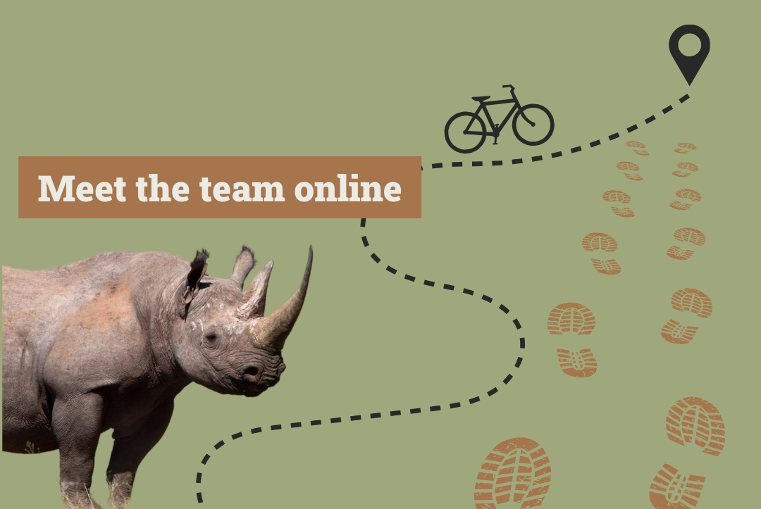 Rhino Walk and Cycle Namibia | Save the Rhino