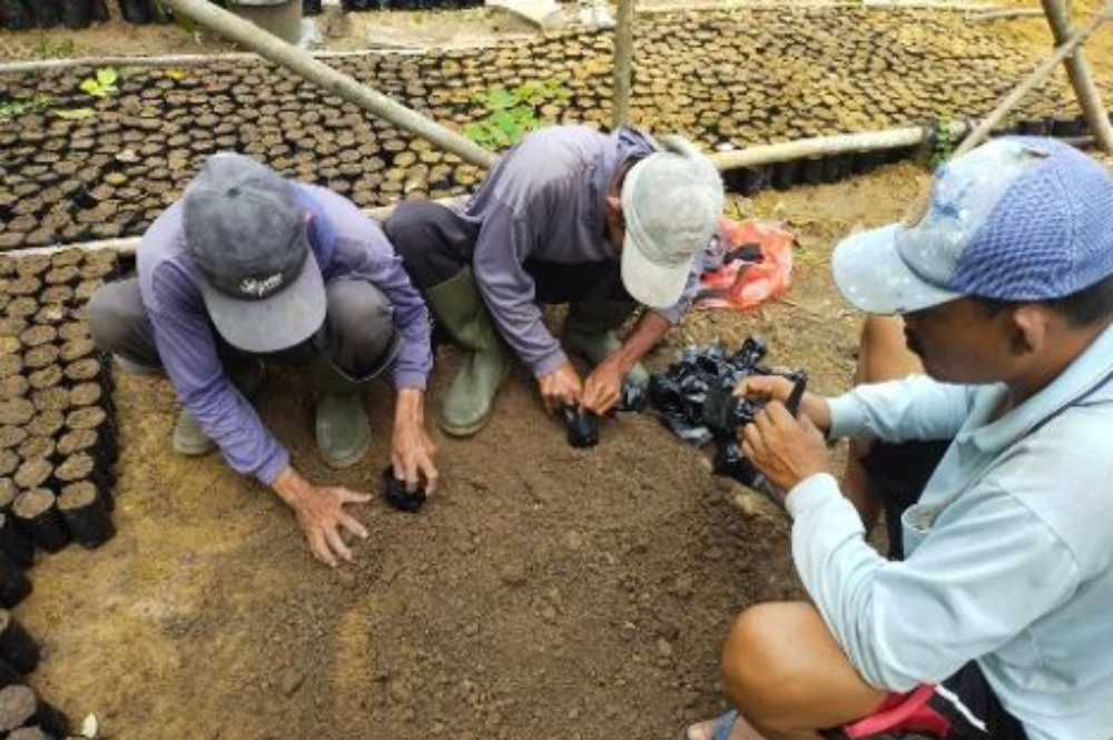 Community reforestation in Way Kambas | News | Save the Rhino