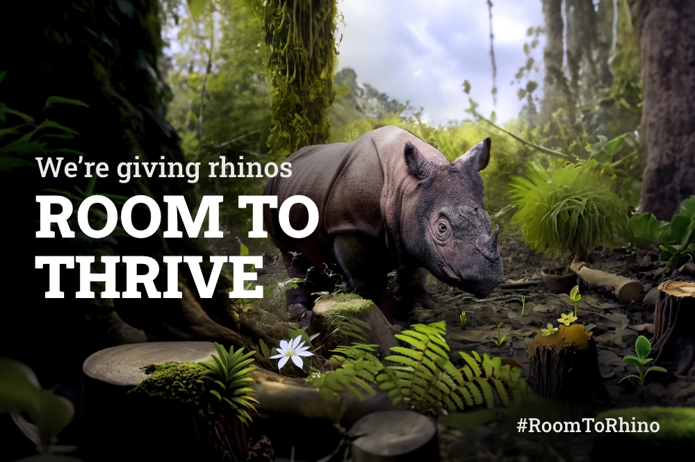 Save the Rhino International | Rhino Conservation Charity