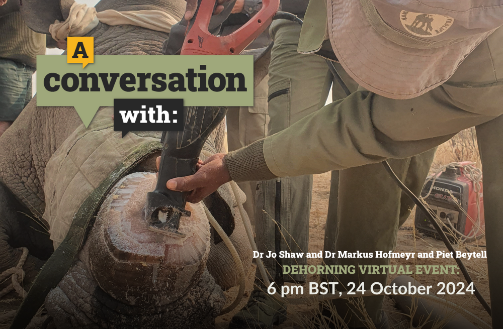 Event: Dehorning rhinos | Save the Rhino