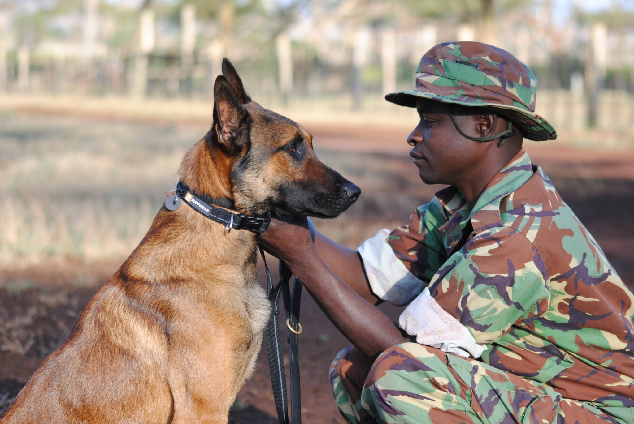 Thank you for supporting our Canine Unit Appeal! | Save the Rhino